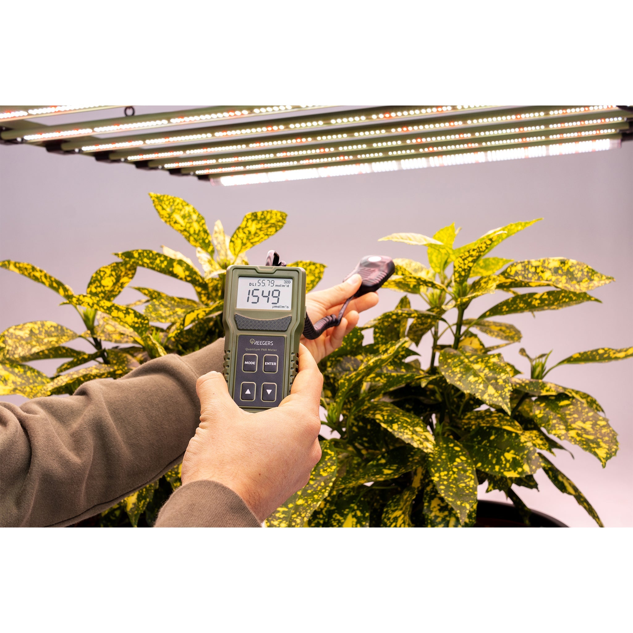 Maximising Yields with Precision Lighting Control – Treegers Europe